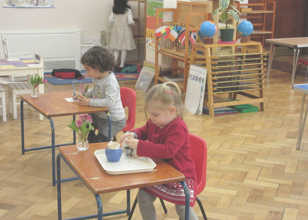 Curriculum - Great Beginnings